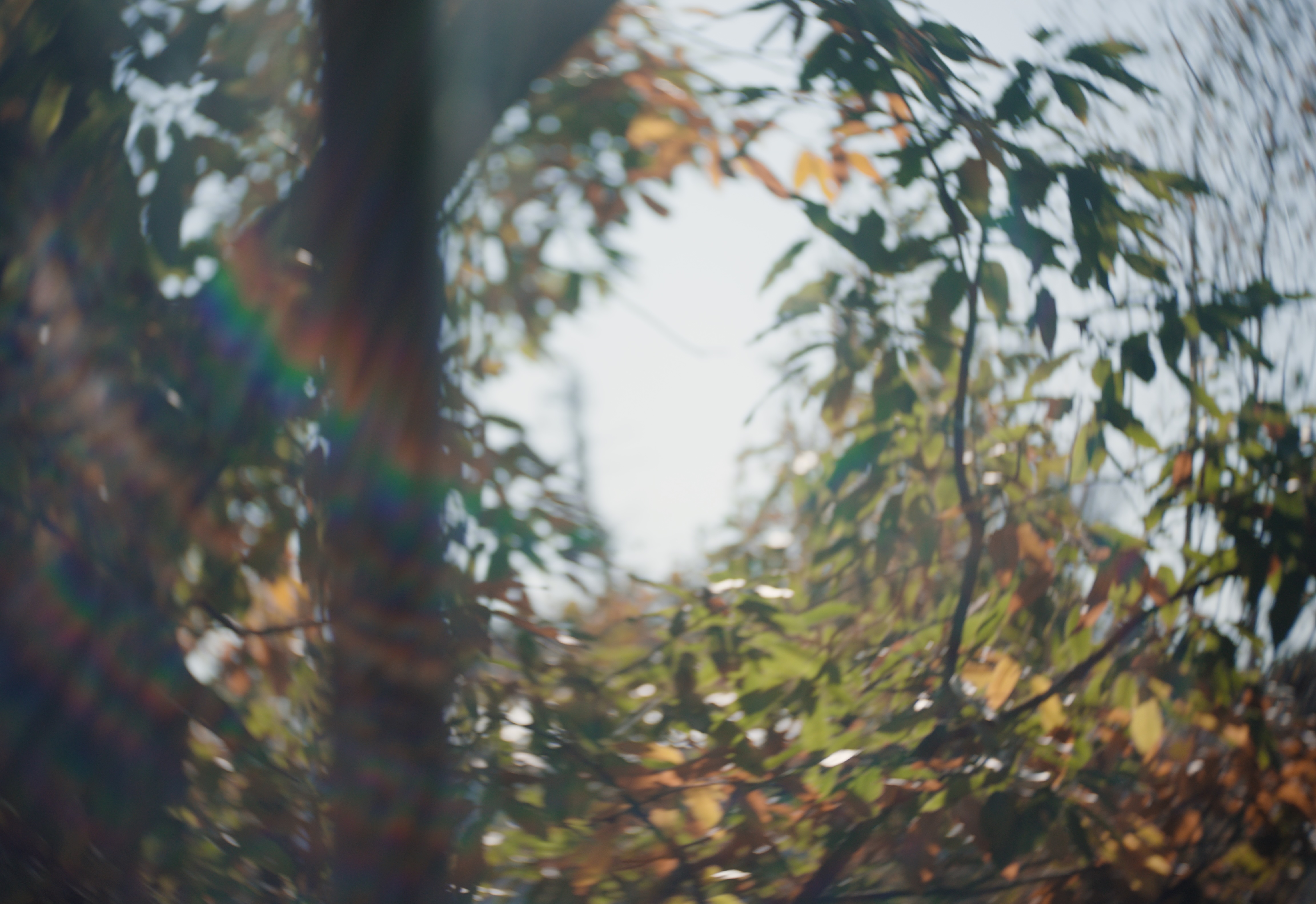 LASIK pour corriger l’astigmatisme | ZEISS