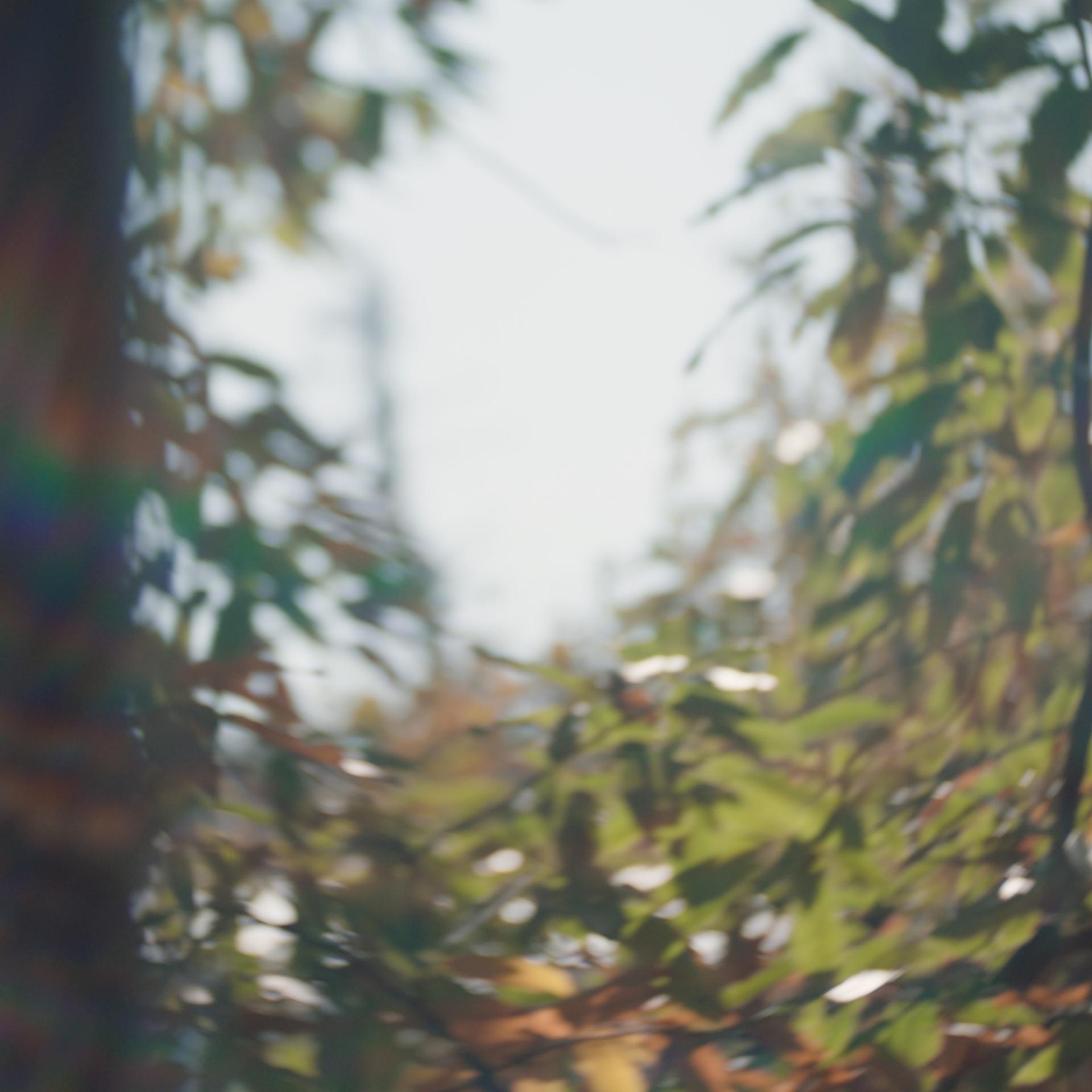 PRK procedure explained | ZEISS Laser Vision Correction